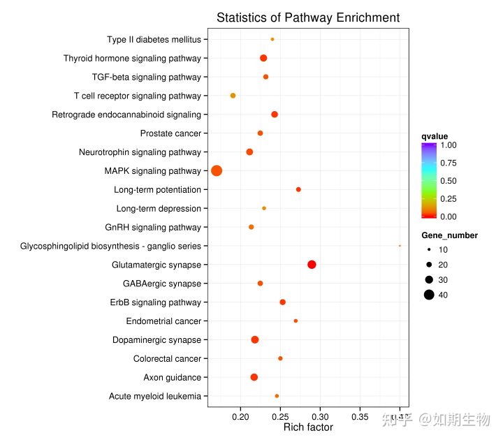 易科学-RIP（RNA结合蛋白免疫沉淀） - 服务详情